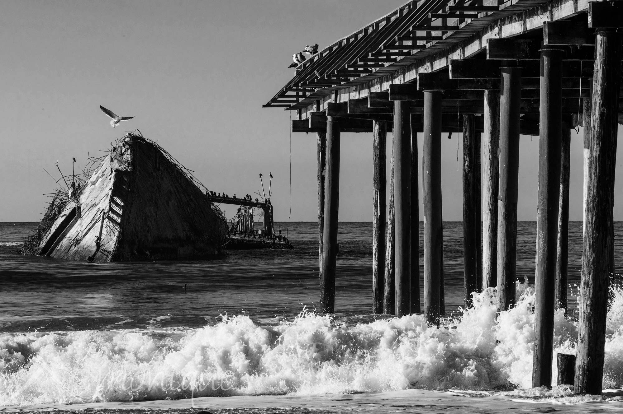Santa Cruz Storm Damage